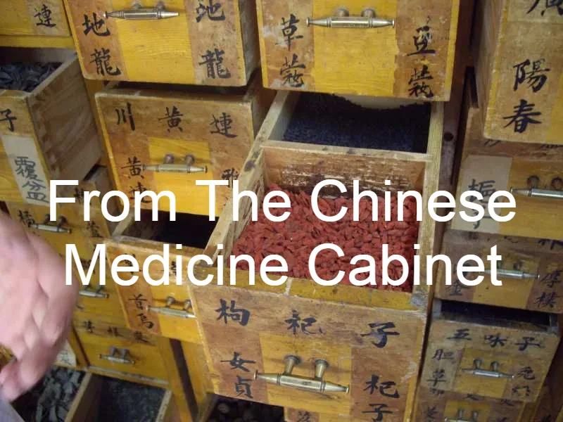 Mei Gui Hua: Why This Ancient Rose Is More Than Just “Rose Tea” | Ask a ...